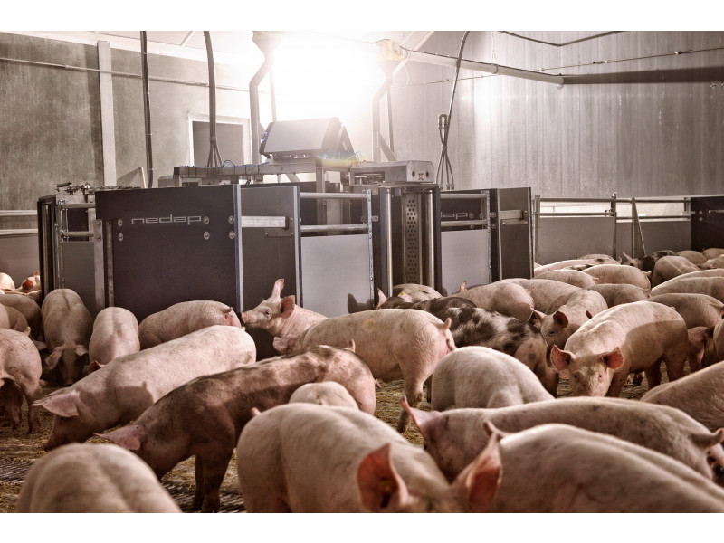 SEPARATION SYSTEM - Exafan | Exafan